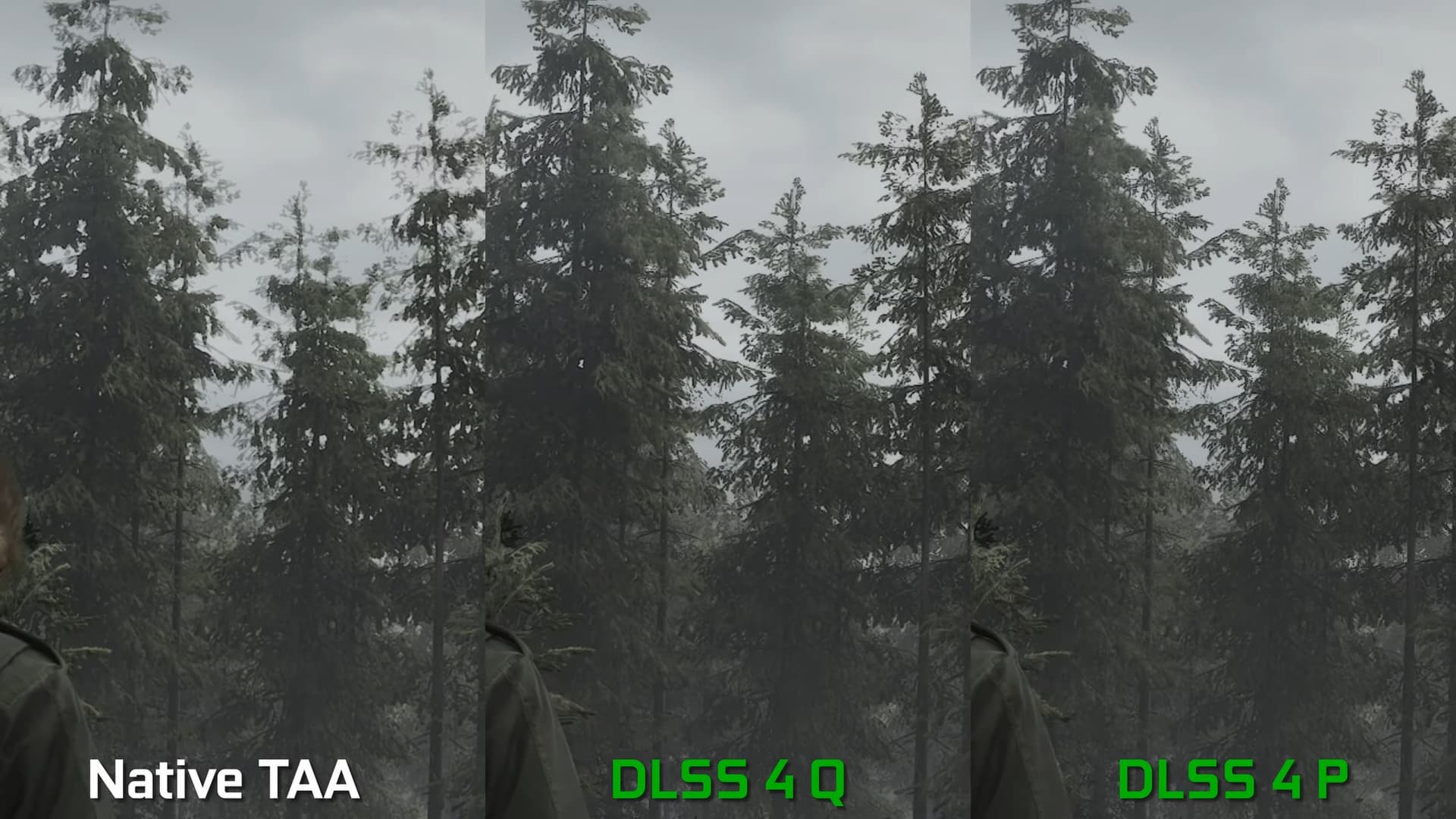 NVIDIA Upends the Industry: DLSS 4 Outperforms Native Rendering Even at ...