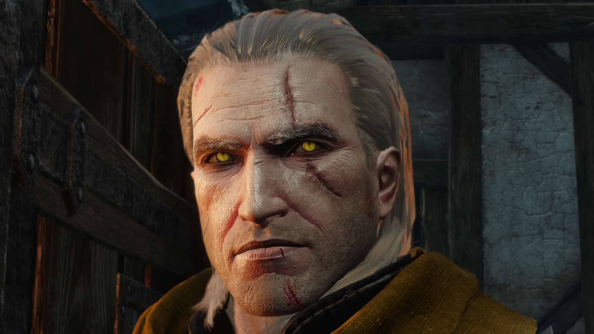 The Witcher 3 modder created dynamic cat eyes for Geralt - they react ...