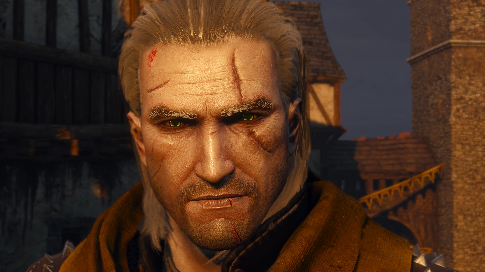 The Witcher 3 modder created dynamic cat eyes for Geralt - they react ...